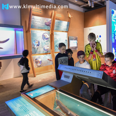 Interactive Museum Exhibits | Display Exhibition Ideas and Design