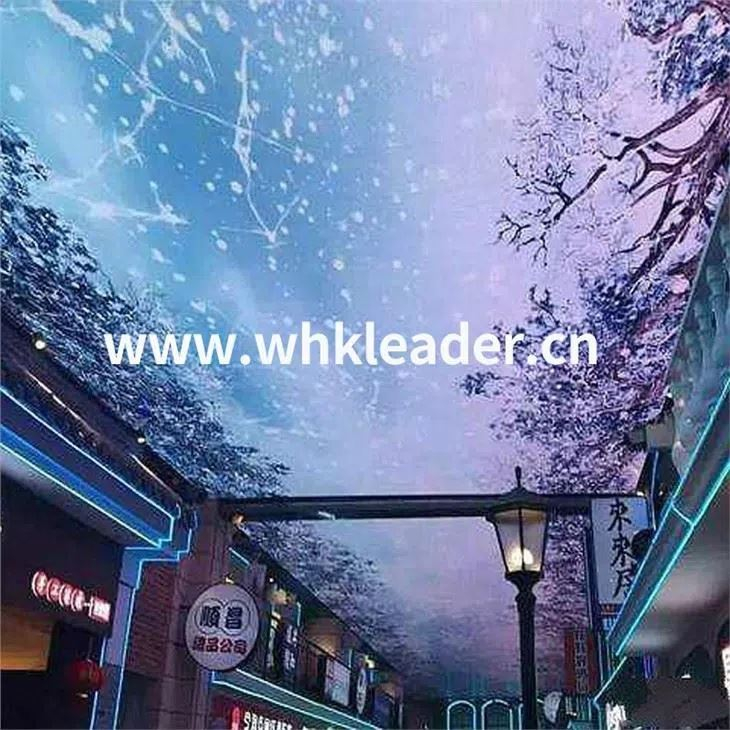 sky screen - cyclorama projection