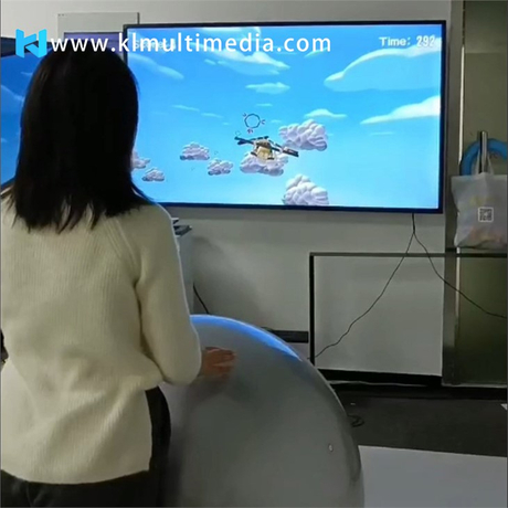 Balance Ball Game - suitable for body training