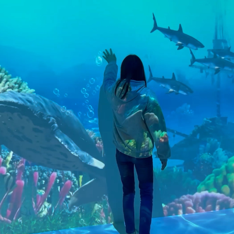 Immersive Art | 360 Projection Mapping screen